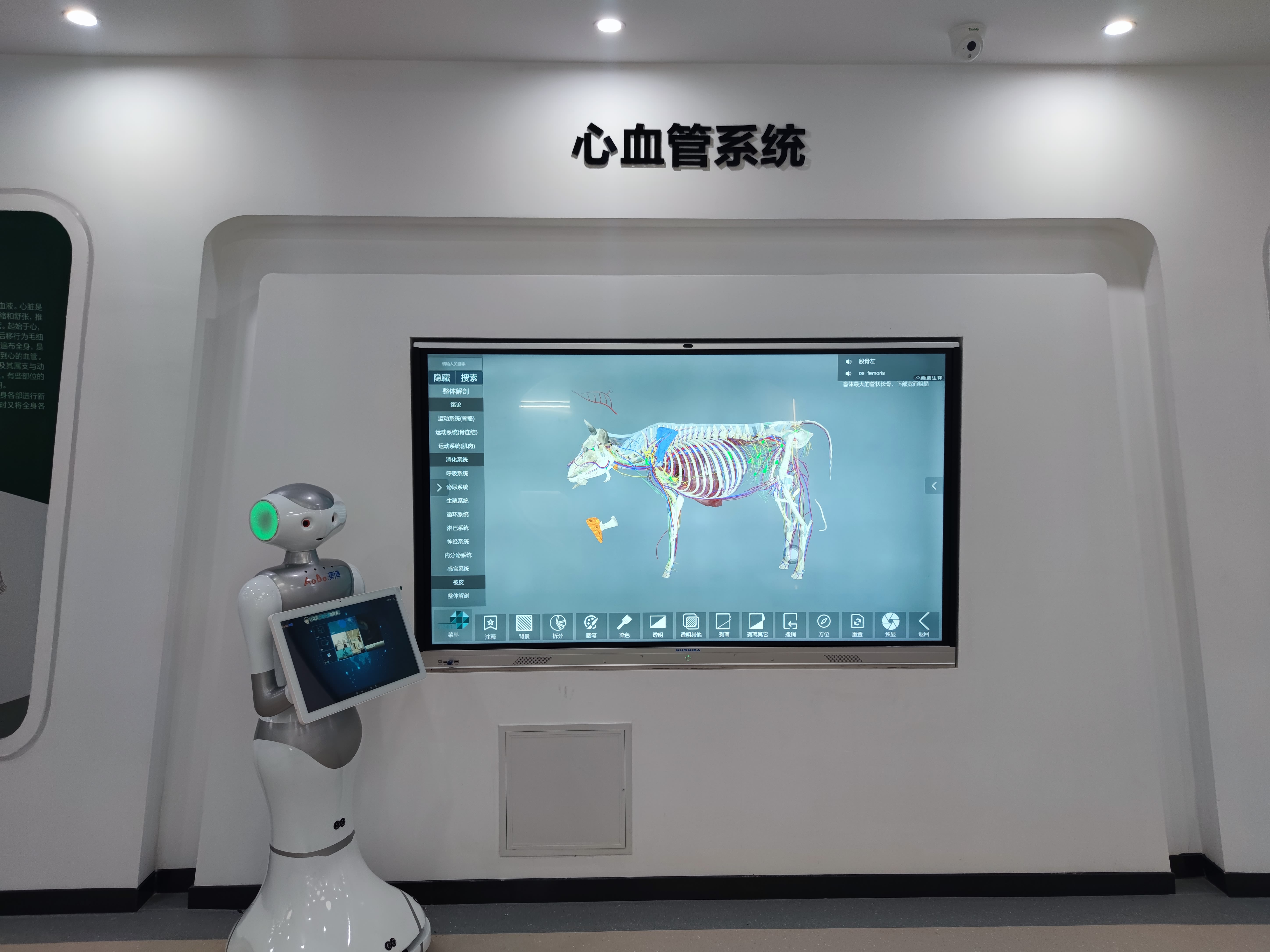 澳博信息科技有限公司-专业生产服务机器人